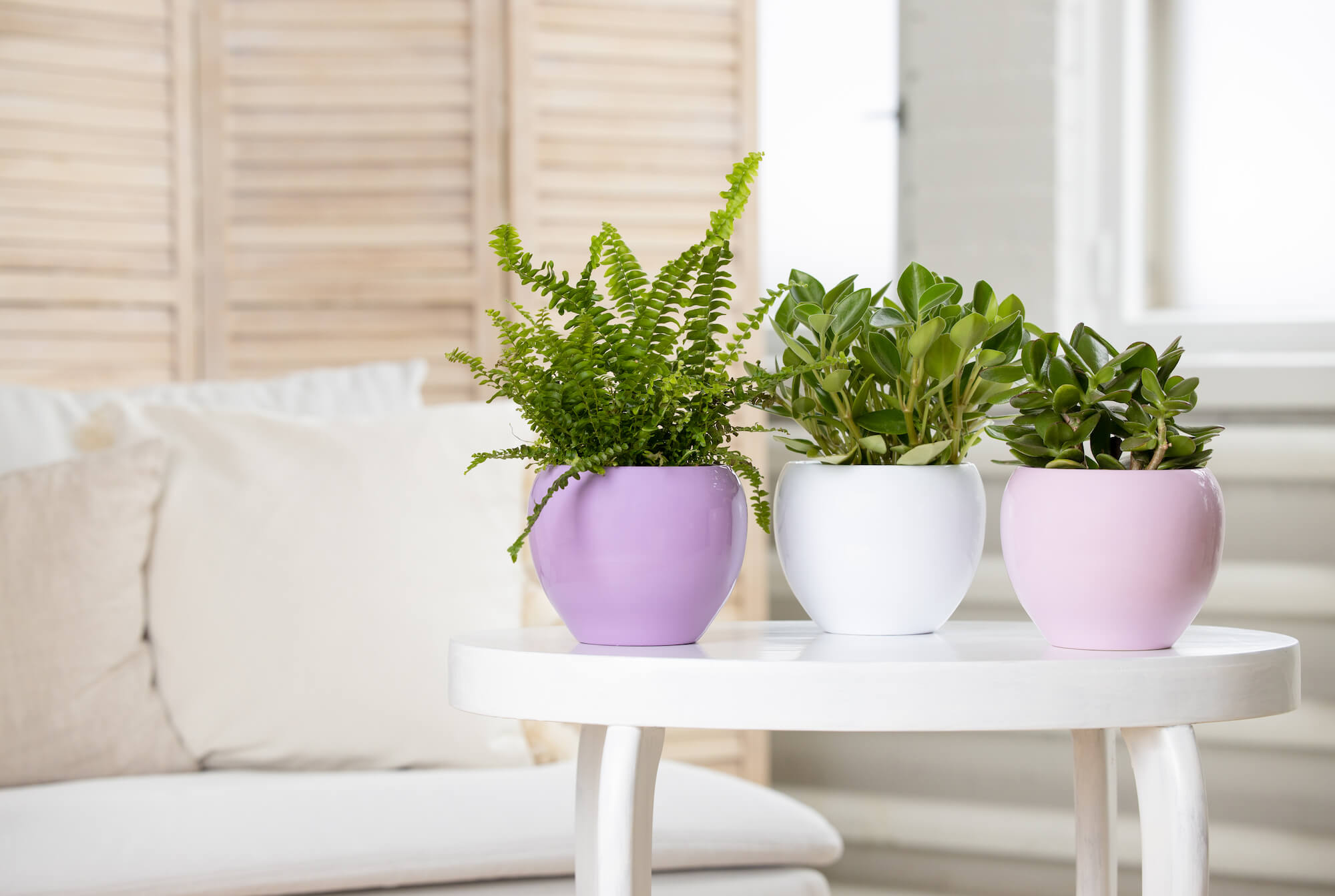 Selja T - verkkokauppa - SHT-Tukku Oy